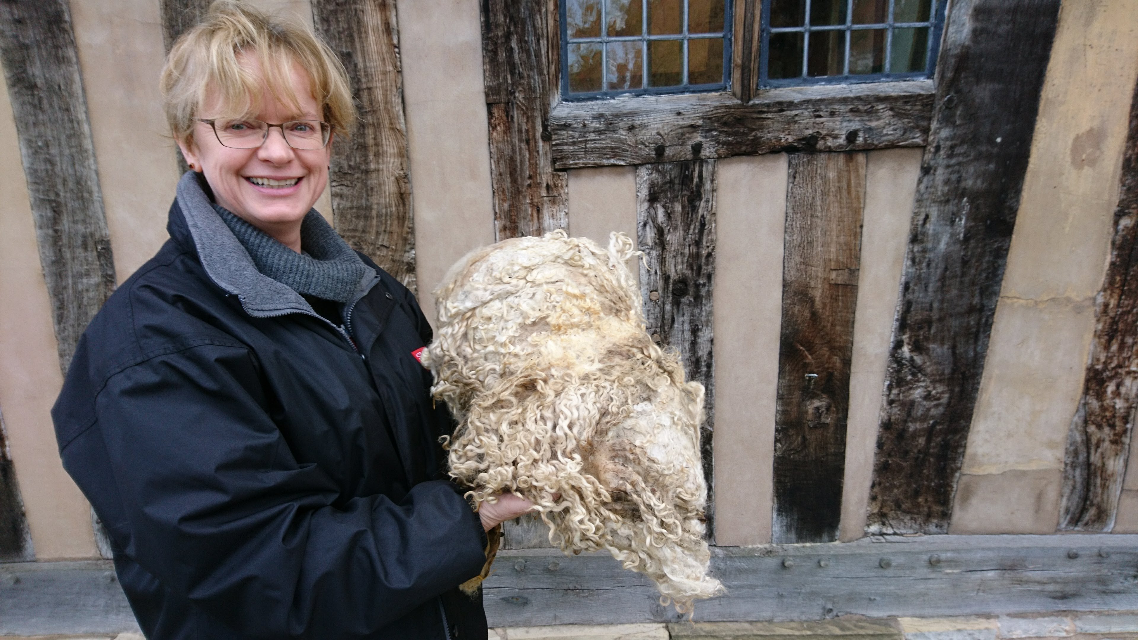 Hall's Croft Conservation Works