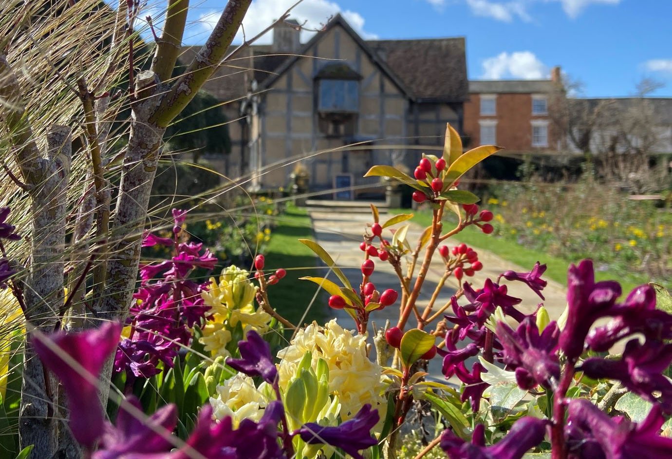 Shakespeare’s Family Gardens - Spring 2023 at Shakespeare’s Birthplace