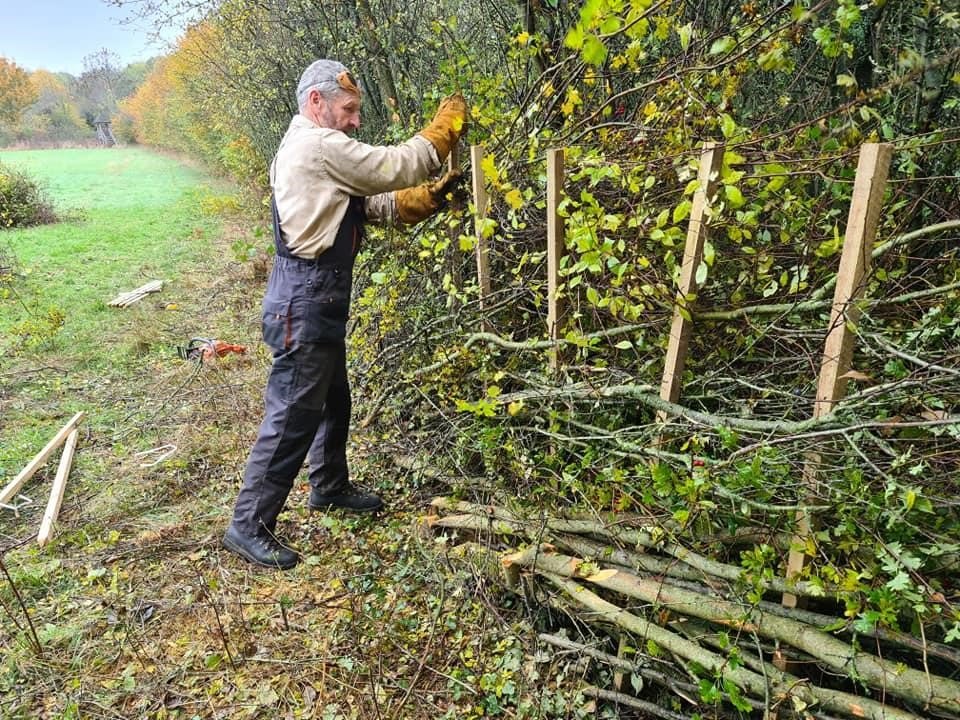 High Level Stewardship at Mary Arden’s Farm