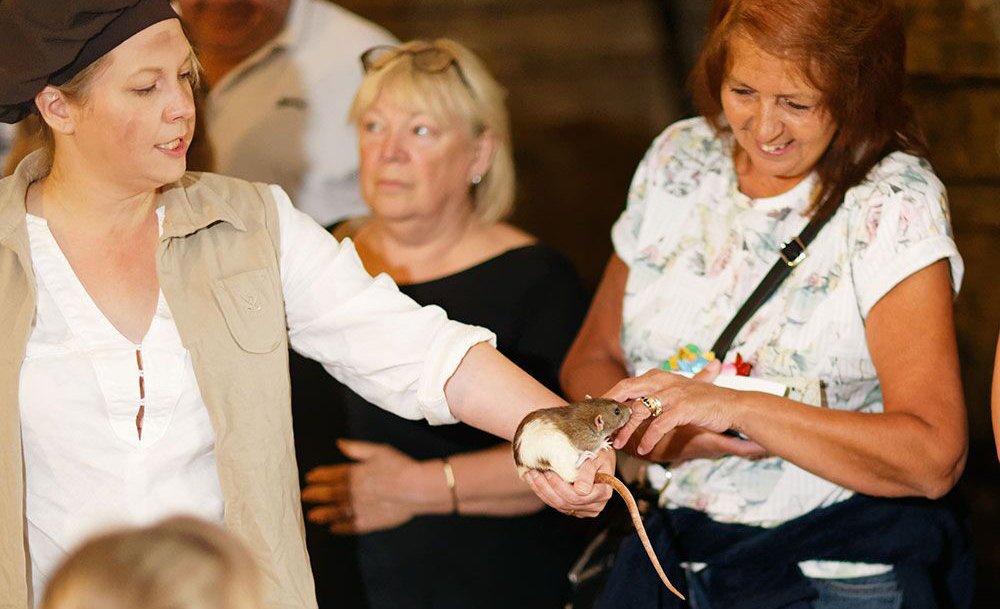 Tudor fun with Animals